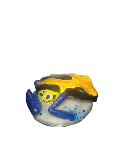 Tagua - Artesanos de Panamá